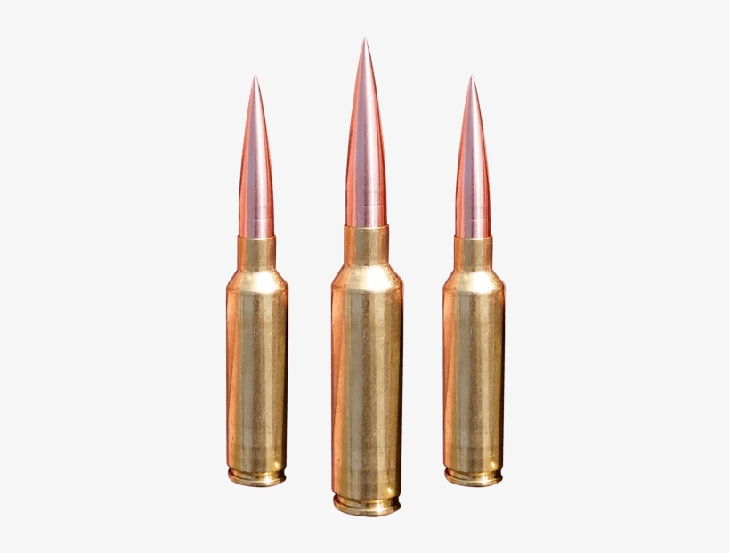 Free Png Gun Bullet Png Images Transparent - Gun Bullet - 480x587 PNG ...