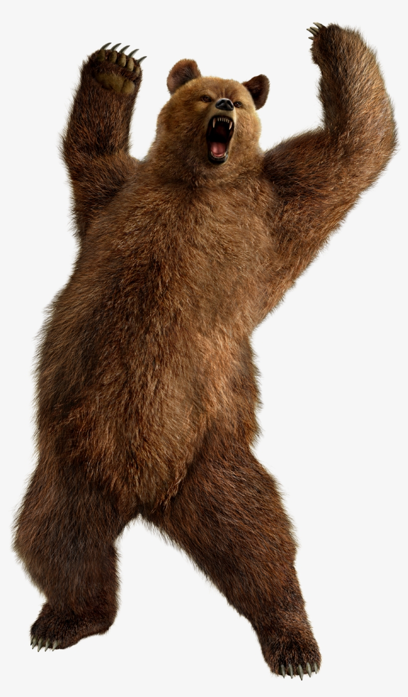 Full-body Cg Art Image - Bear Png - 1128x1700 PNG Download - PNGkit