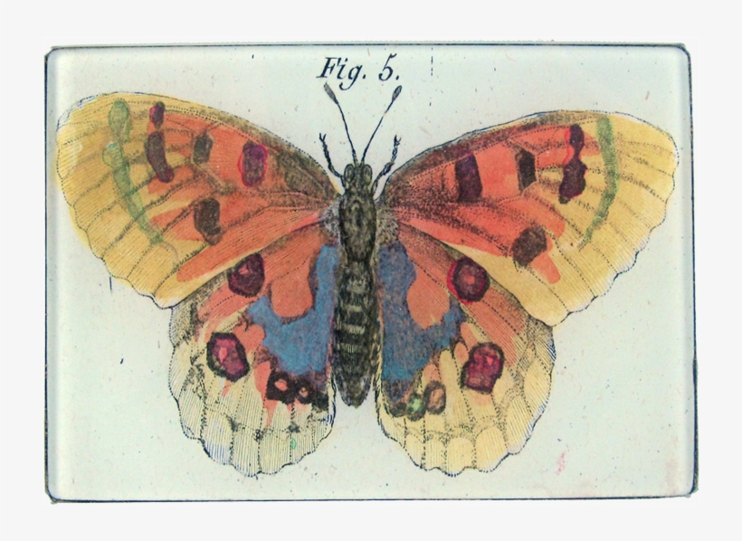 Artist - 800x800 PNG Download - PNGkit