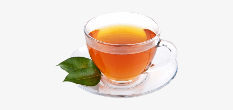 Food - Tea - Tea Png - 500x363 PNG Download - PNGkit