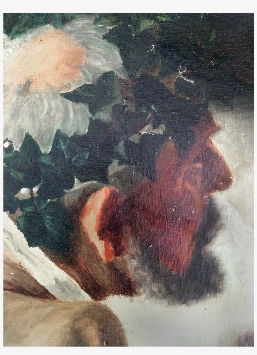 Stallion - 1400x1400 PNG Download - PNGkit