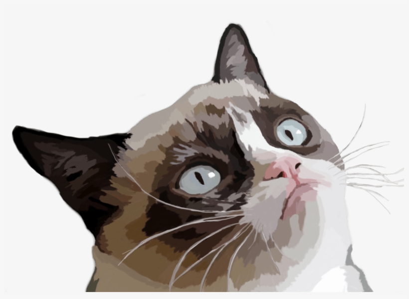 Grumpy Cat Vector Illustration - Grumpy Cat Evil Cat Meme - 1221x1094 PNG Download - PNGkit