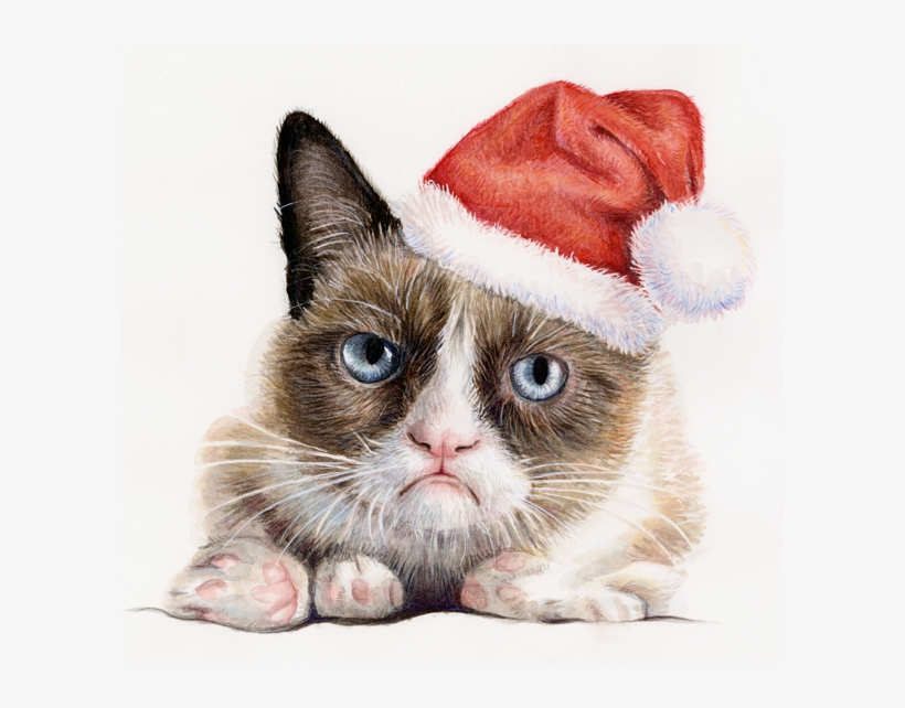 Bleed Area May Not Be Visible - Grumpy Cat As Santa - 600x562 PNG ...