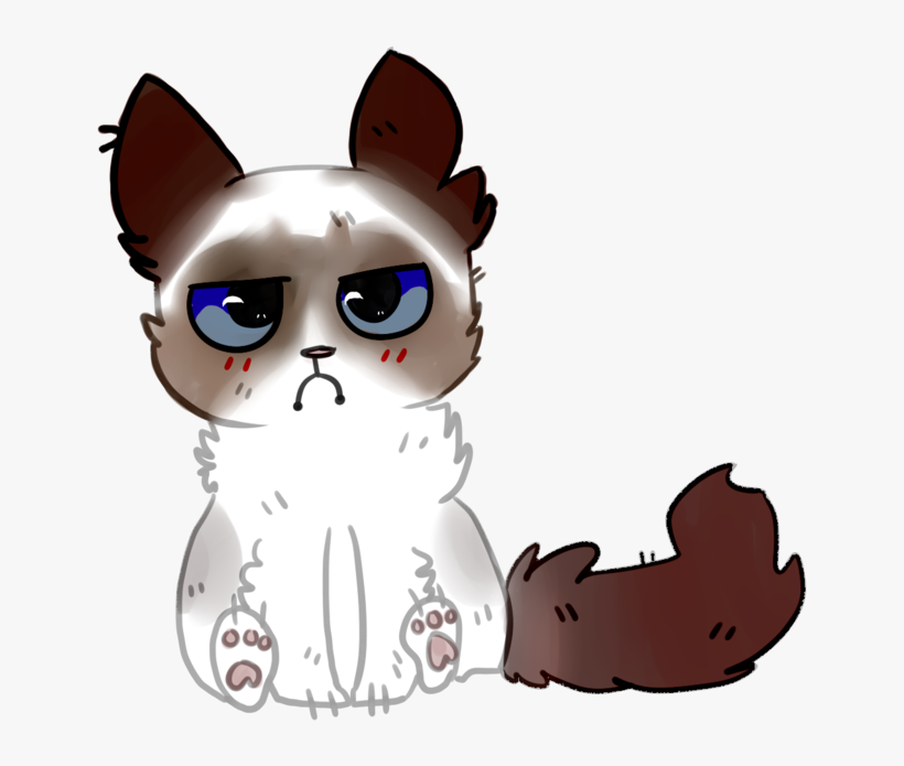 Grumpy Cat Clipart - Drawing - 806x605 PNG Download - PNGkit