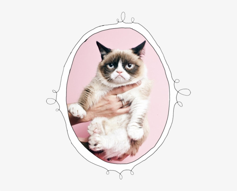Cat Mine Transparent Grumpy Grumpy Cat Sad Cat - Cute Happy Monday ...