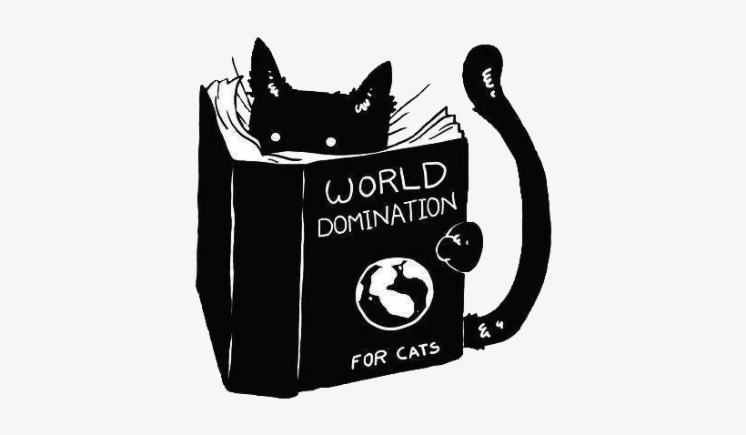 Cat Tumblr Transparent