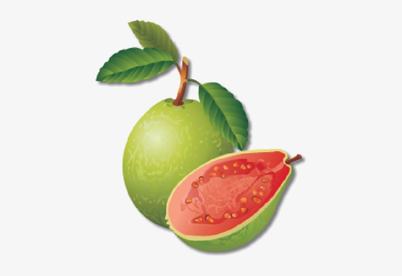 Guava Png Transparent Images - Guava Clipart - 529x529 PNG Download ...