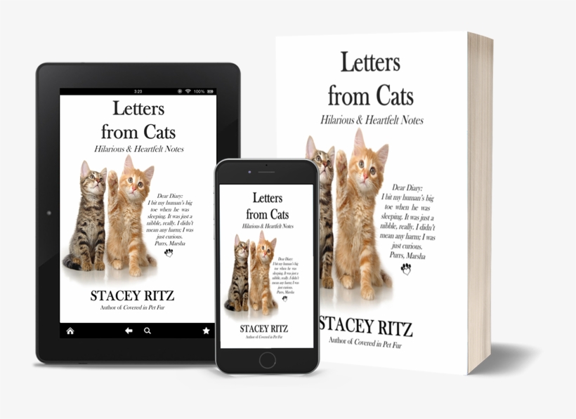 Letters From Cats: Hilarious And Heartfelt Notes [book] - 1100x665 PNG ...
