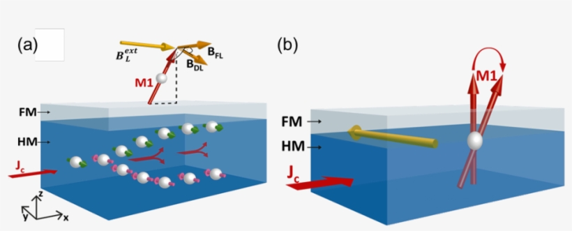 Schematics Of Spin Hall Effect - Spin Hall Effect Spin Orbit Torque ...