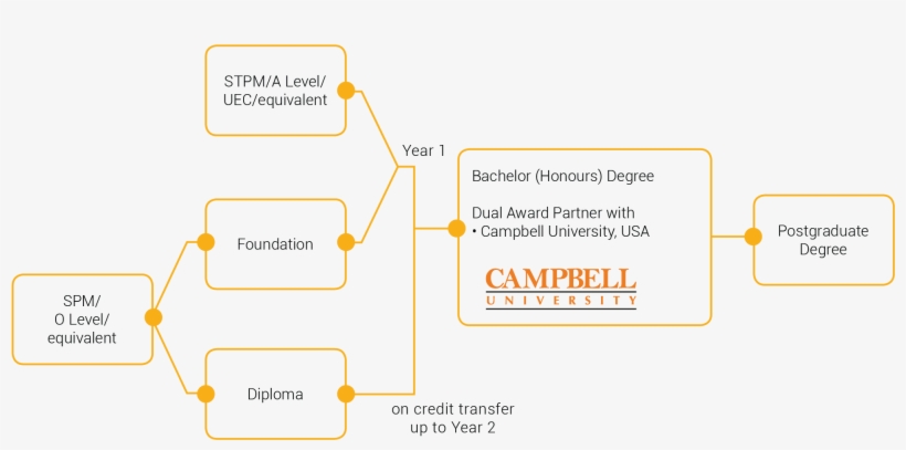 Academic Progression - - Diagram - 2126x1063 PNG Download - PNGkit