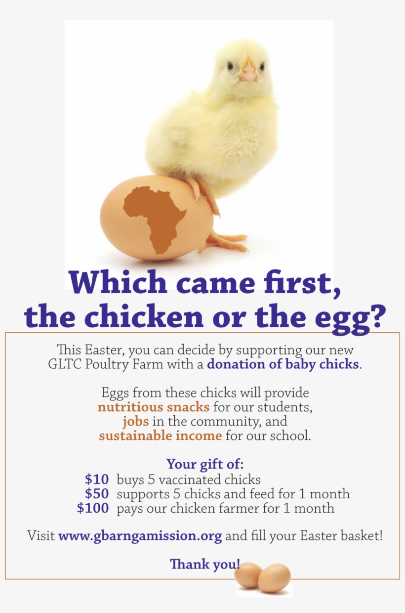 Easter 2018 Png - Heineken - 1079x1580 PNG Download - PNGkit