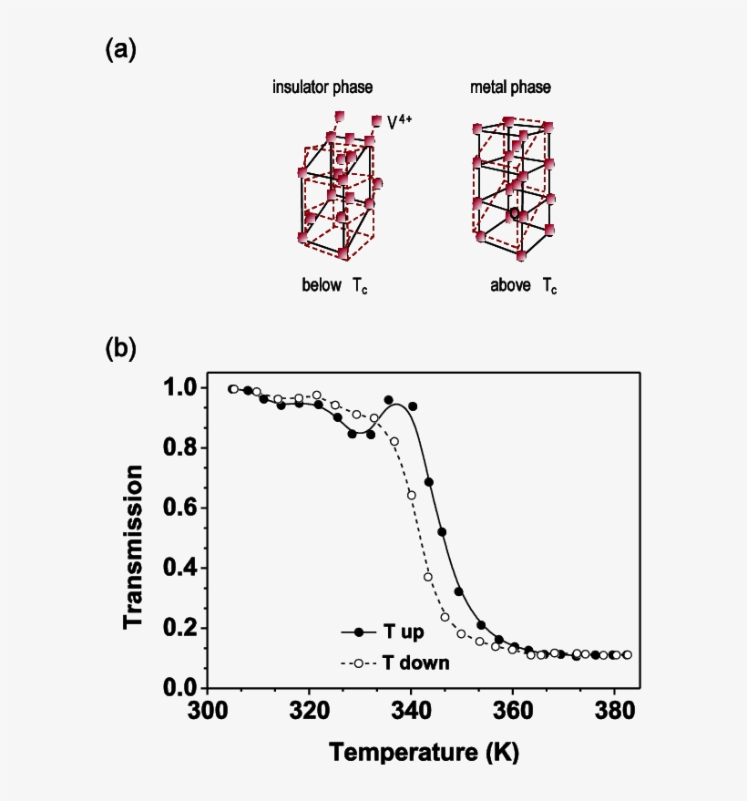 Schematic Description Of The Two Crystal Structures - Diagram - 591x808 ...
