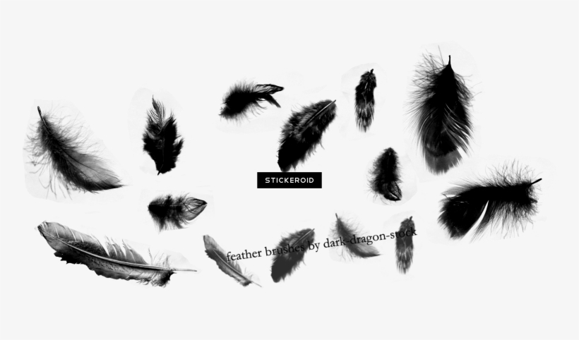 Feather Hd - Vampire Diaries Damon Sticker - 3150x1700 PNG Download ...