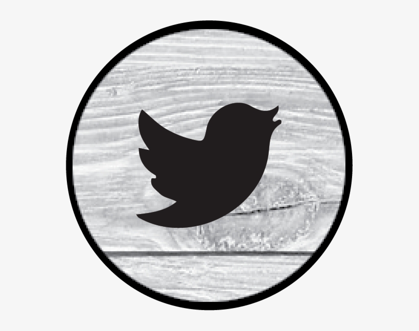 Twitter - 561x568 PNG Download - PNGkit