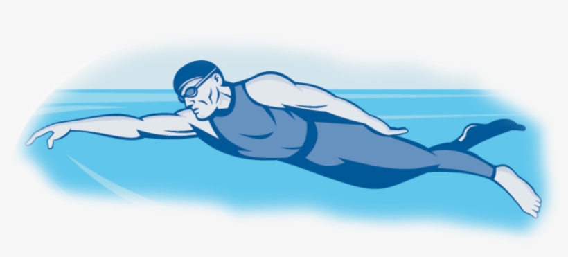 Vector Royalty Free Download Butterfly Swimmer Clipart - 1024x407 PNG ...