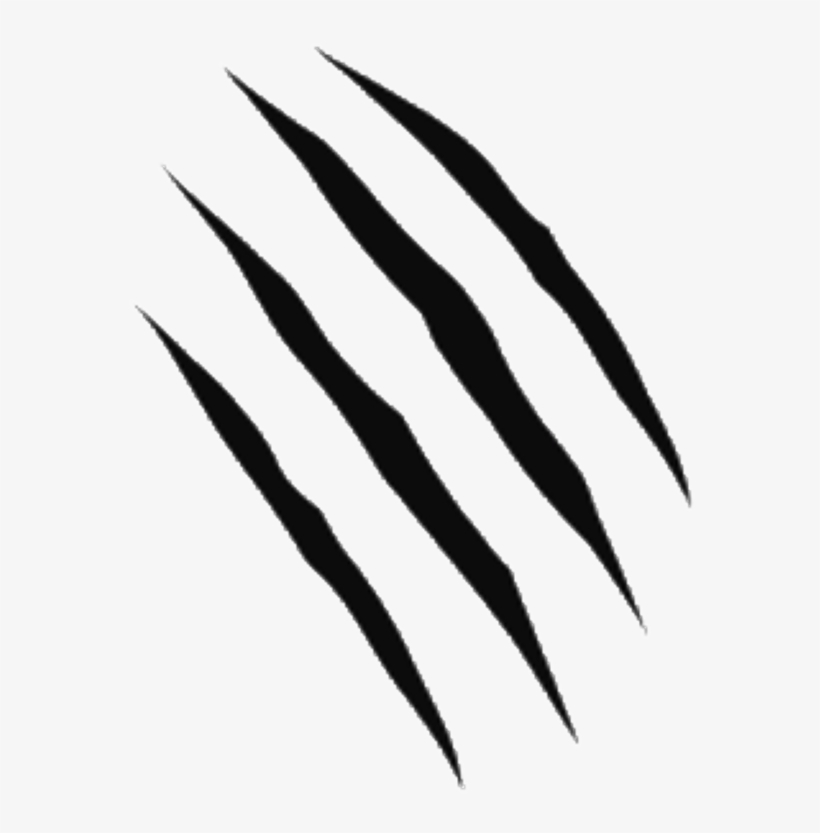 Scratches Cuts Injuries Claws Clawmarks - Scratches Png - 1024x1024 PNG ...