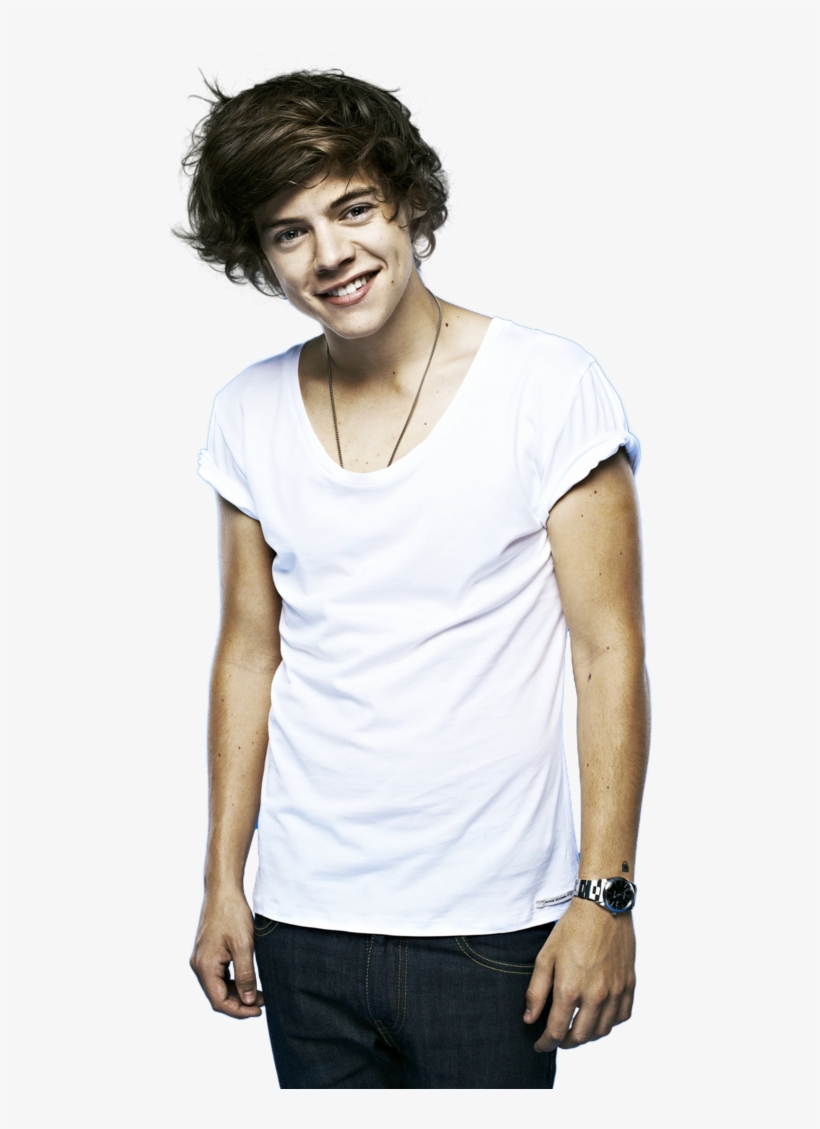 Harry Styles Age 19 - 730x1094 PNG Download - PNGkit