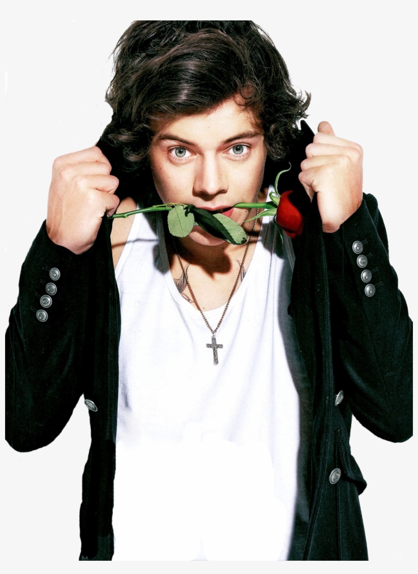 One Direction Photoshoot With Roses