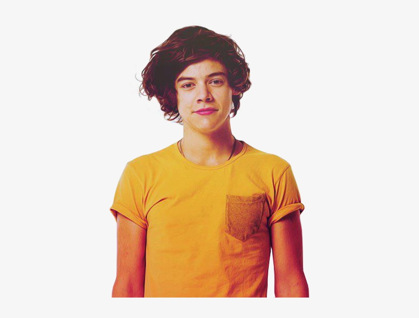 Harry Op Hazza Styles Png - Harry Styles Photoshoot - 500x580 PNG ...