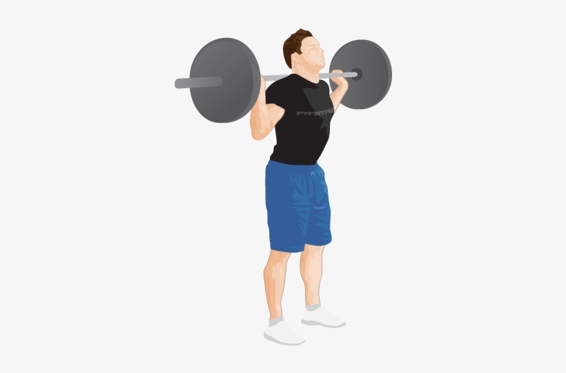 The - Barbell Squat Png - 331x478 PNG Download - PNGkit