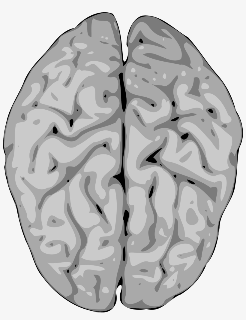 This Free Icons Png Design Of Grey Brain - 1918x2400 PNG Download - PNGkit