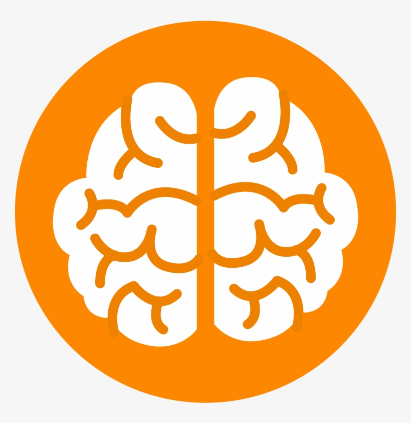 Boosts Brain Development - Transparent Background Brain Clipart ...