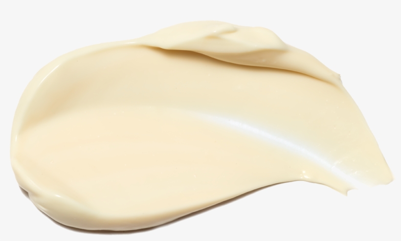 Shell - 1200x1200 PNG Download - PNGkit