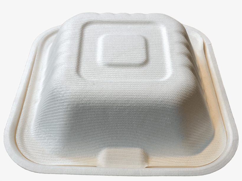7×5 Inch Bagasse Clamshell Box 125 Units - Plastic - 2800x2044 PNG ...