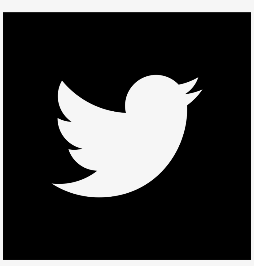 Twitter Square Logo Png - 980x980 PNG Download - PNGkit