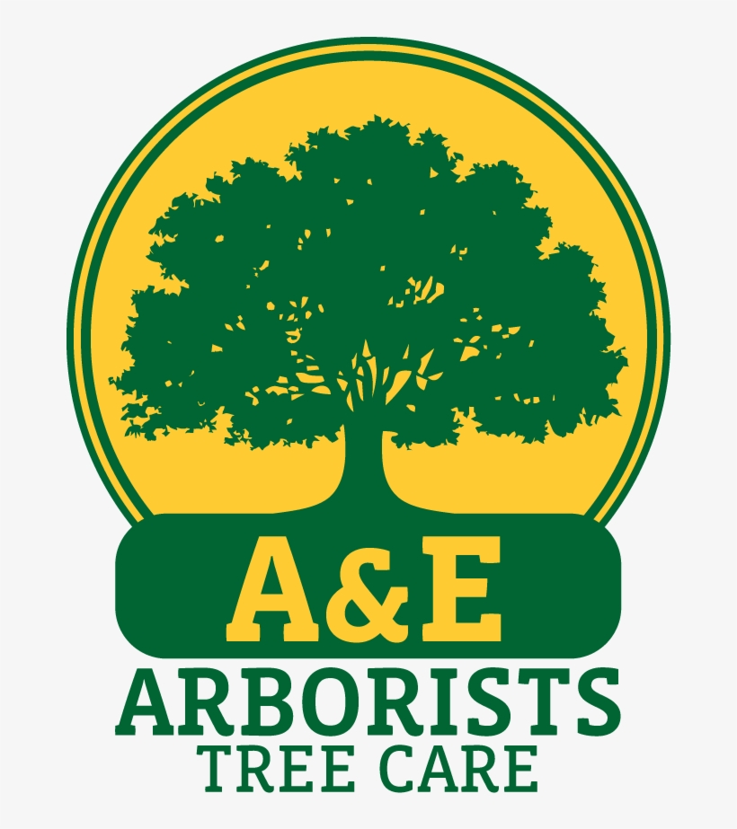 A&e Arborists Tree Care - Upgris - 960x960 PNG Download - PNGkit