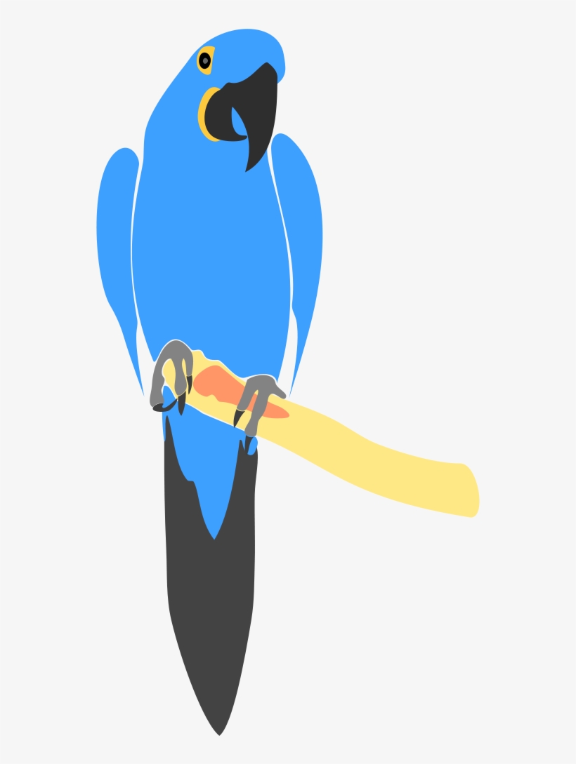 Hyacinth Macaw Drawing - Blue Macaw Vector Png - 1024x1024 PNG Download ...