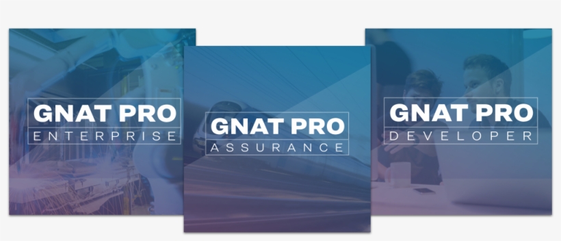 Compare Each Version Of Gnat Pro » - Drop-down List - 1002x382 PNG ...