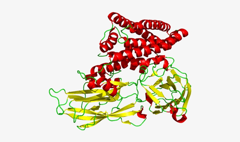 4arx - Cry1ab Protein - 600x600 PNG Download - PNGkit