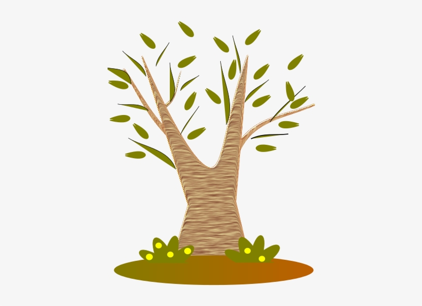 Tree No Leaves Png - 566x800 PNG Download - PNGkit