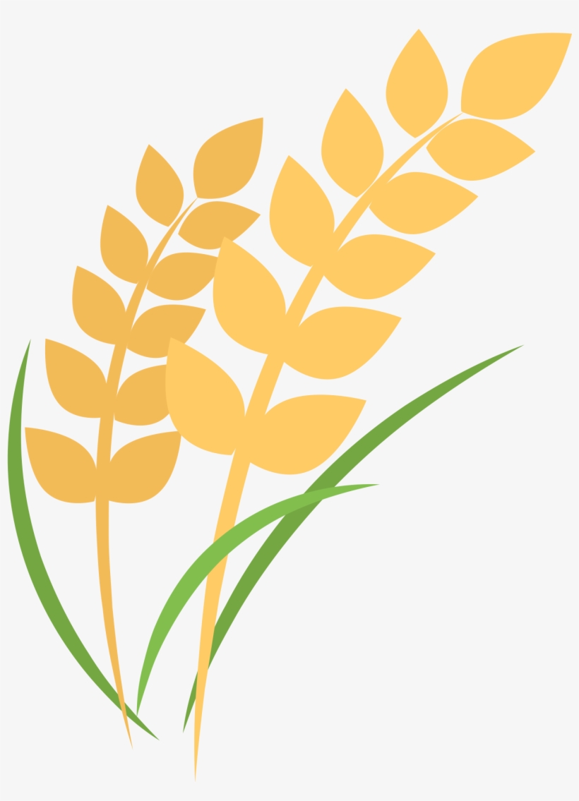 Open - Rice Plant Cartoon Png - 2000x2000 PNG Download - PNGkit
