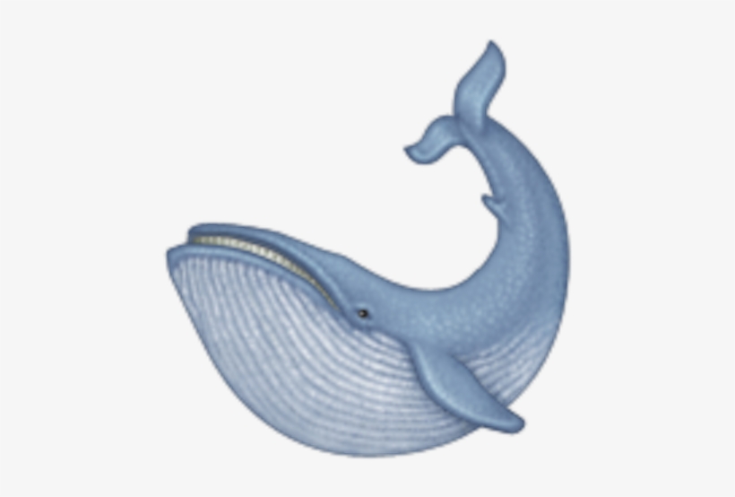 15emoji - Ios Whale Emoji - 600x600 PNG Download - PNGkit