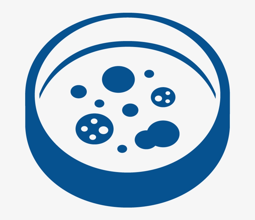 Emerging Infectious Diseases And Outbreaks - Circle - 1366x768 PNG ...