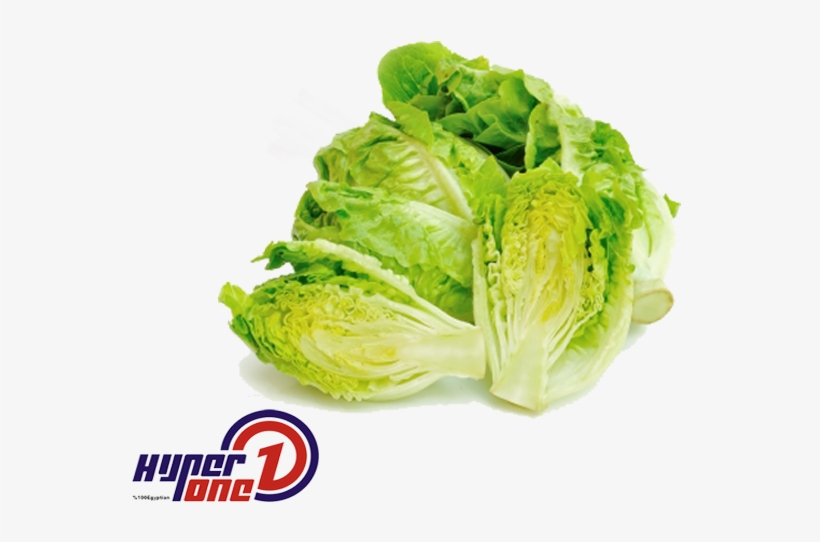 Romaine Lettuce Png - 800x533 PNG Download - PNGkit