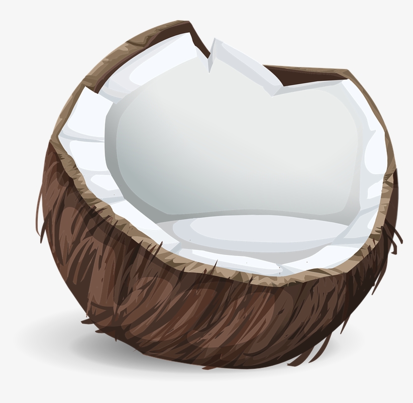 Coco Vector Png - Illustration Noix De Coco - 780x720 PNG Download - PNGkit