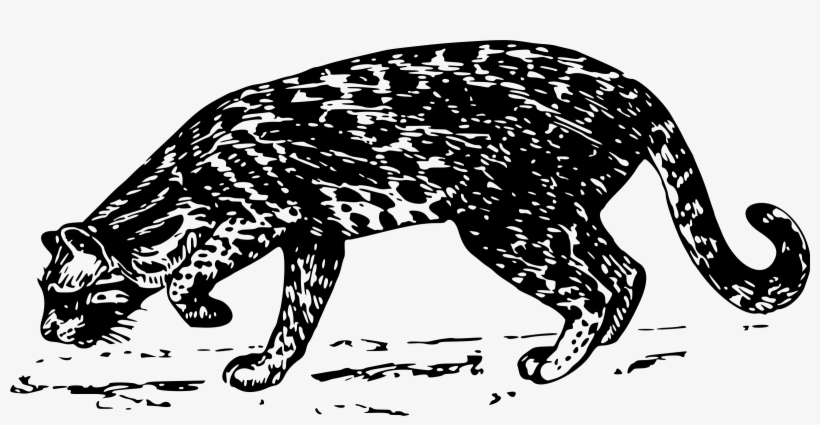 Ocelot Png - 2400x1129 PNG Download - PNGkit