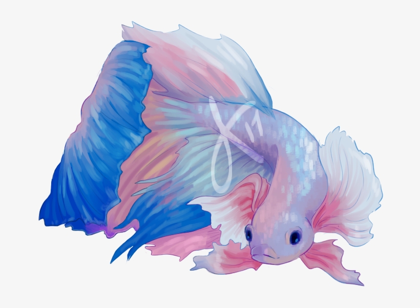 Transparent Fish Tumblr