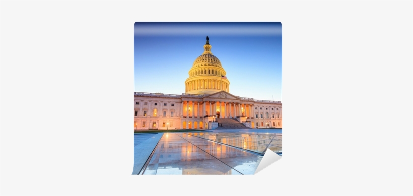 The United States Capitol Building Wall Mural • Pixers® - Delivering ...