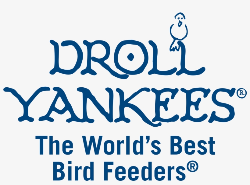 The Droll Yankees Story - 1016x743 PNG Download - PNGkit