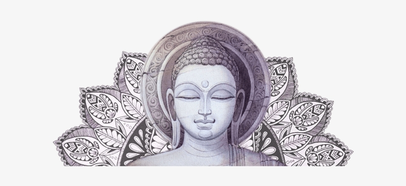 Zoom In Read More - The Daily - 960x295 PNG Download - PNGkit