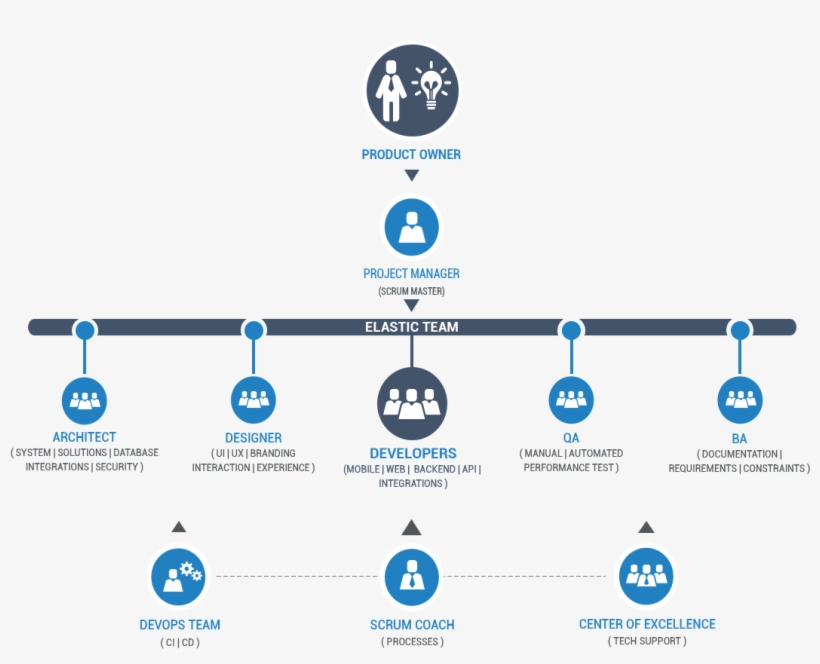 Project Management Roles Chart