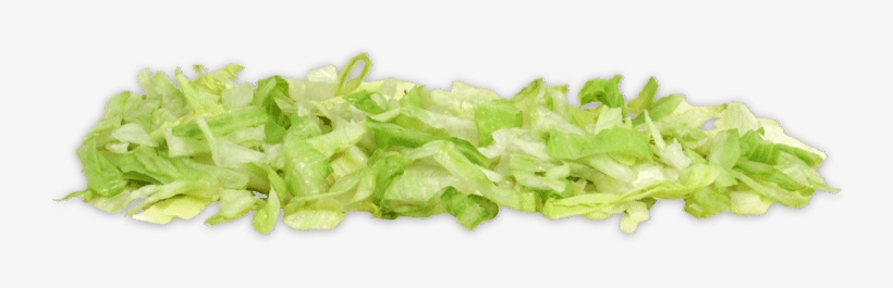 Endive - 850x470 PNG Download - PNGkit
