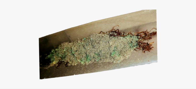 Transparent Pre-rolled Joint For You All - Blunt - 500x293 PNG Download ...