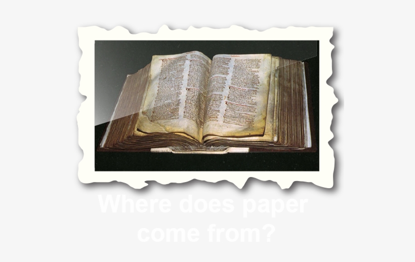 Where Does Paper Come From Domesday Book 539x457 PNG Download PNGkit where-does-paper-come-from-domesday-book-539x457-png-download-pngkit