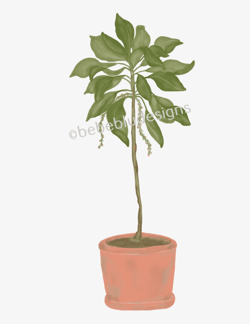 Potted Plant - Tree - 547x1024 PNG Download - PNGkit