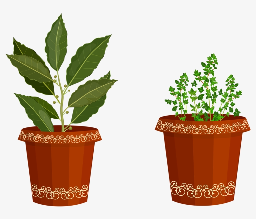 Download Transparent Plant Clipart Potted Plant - Clip Art - PNGkit